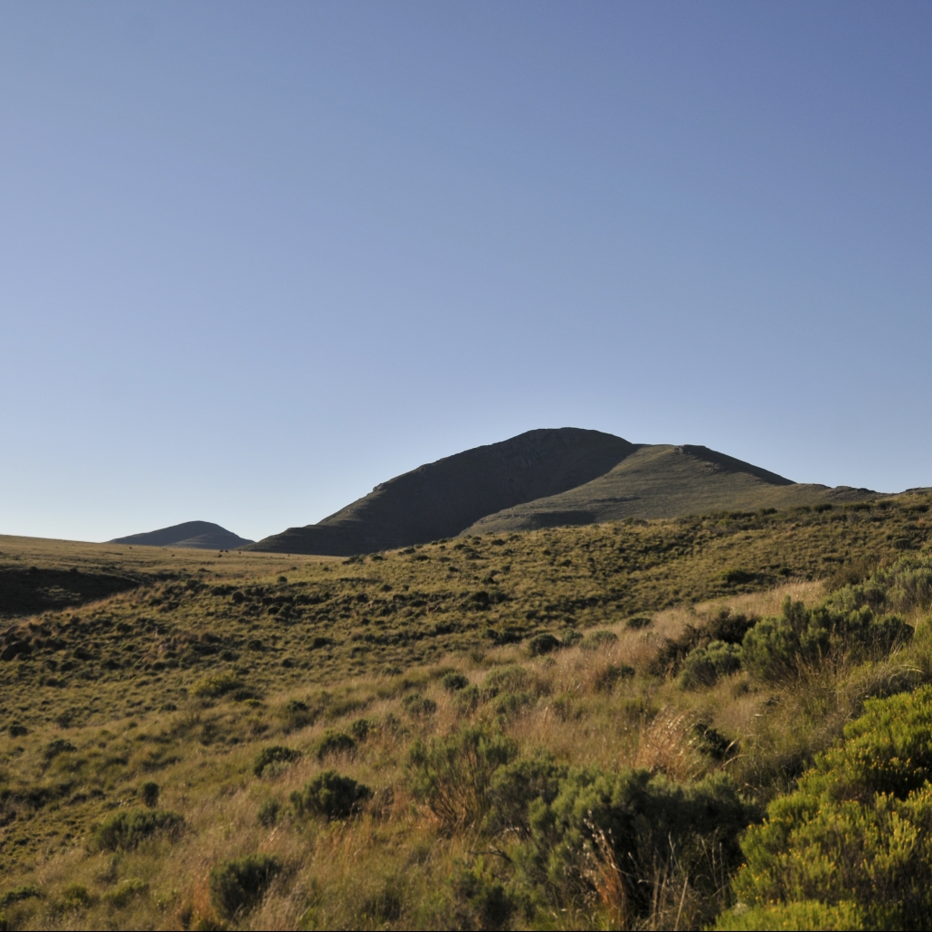 Spirit of the Wild Trust – Bergplaas Foundation